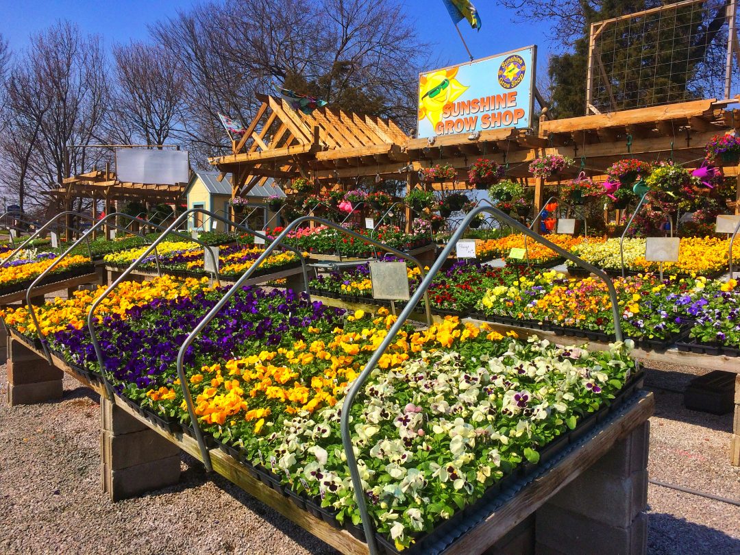 Garden Center Home - Sunshine Grow Shop